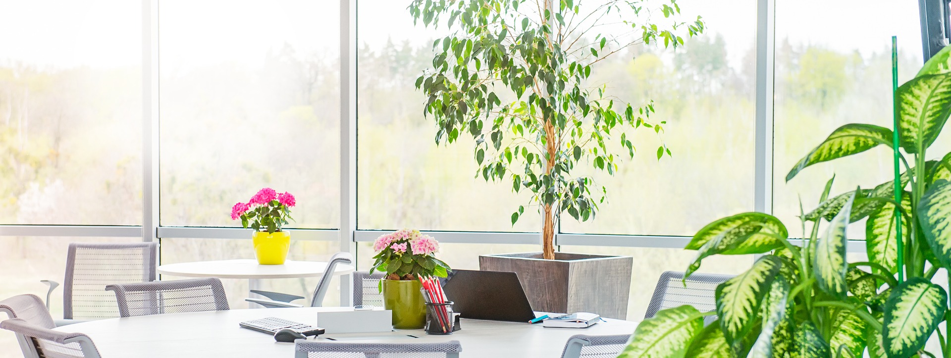 Office Cleaning | Luna Clean